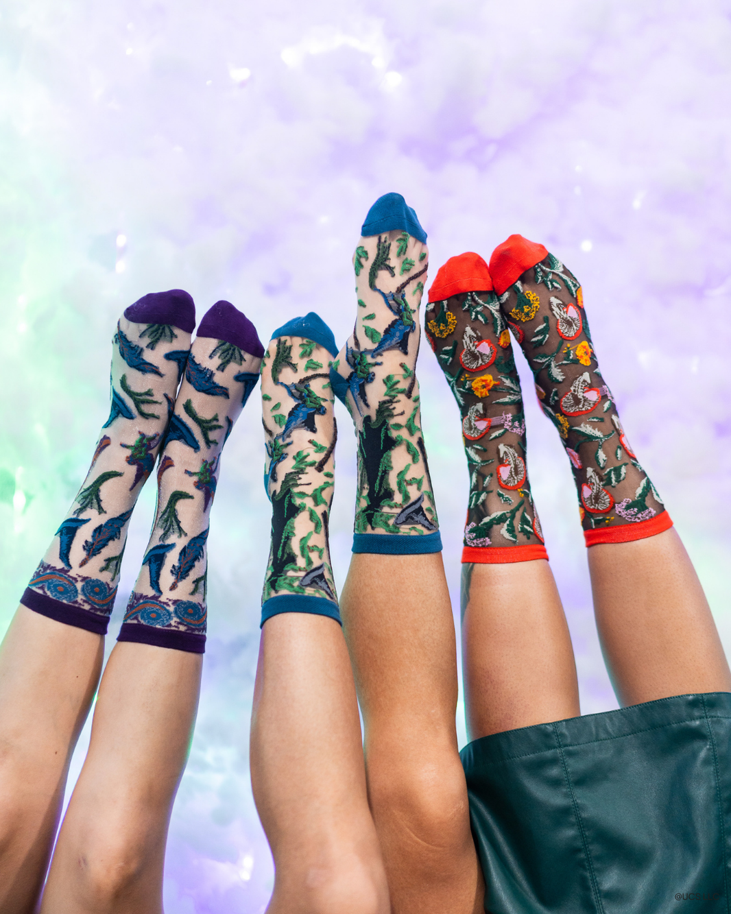 Wicked x Sock Candy | Wicked For Good Socks for Women